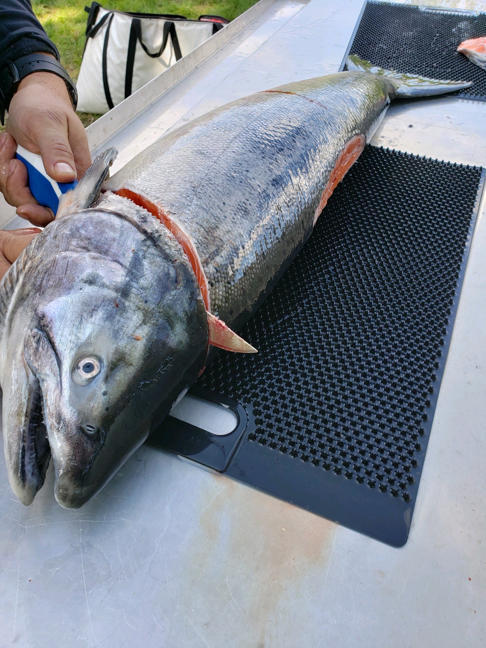 Fish fillet board that's flexible | Fillet Away Fish Mats