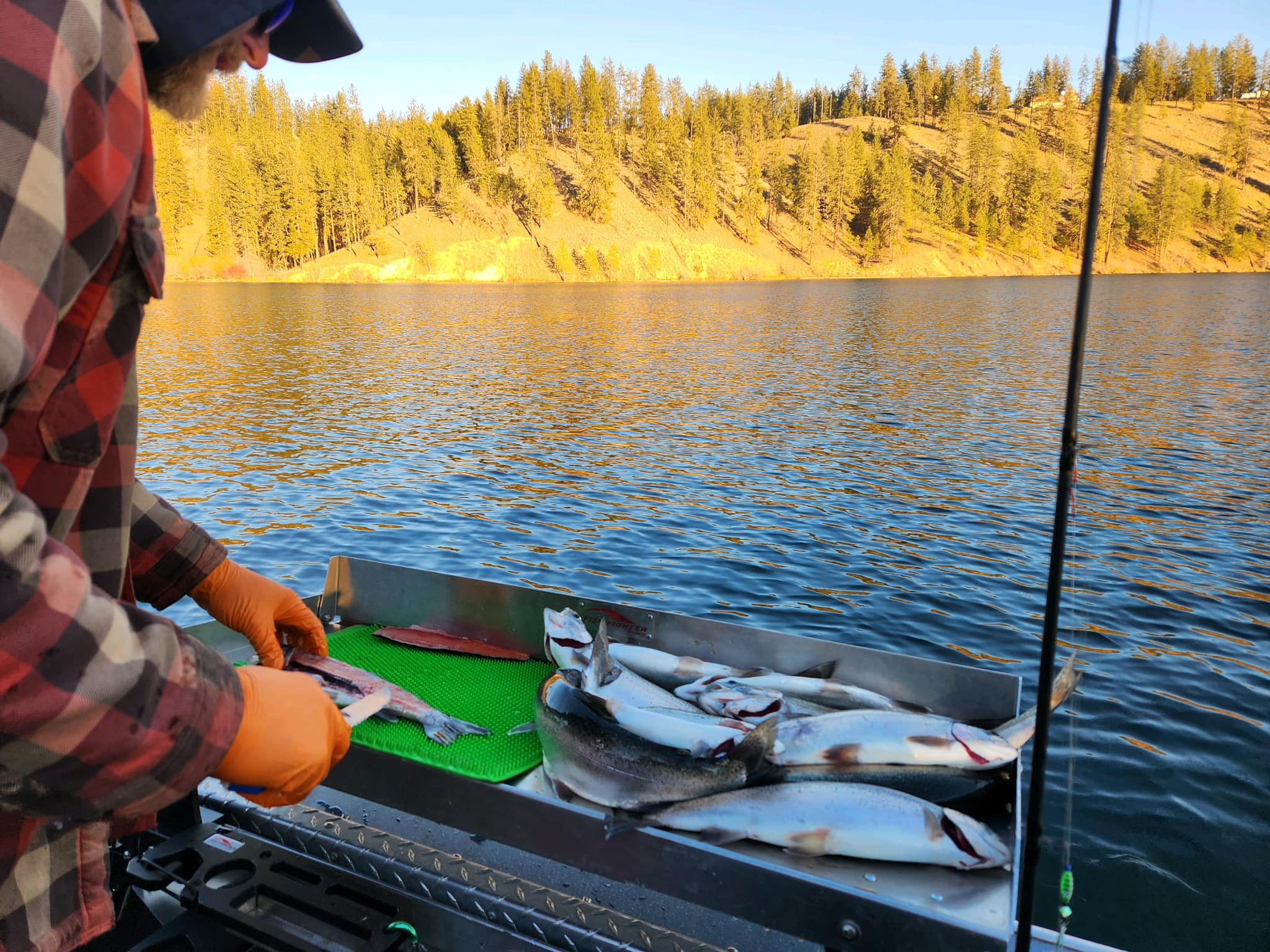 Fish fillet board that's flexible | Fillet Away Fish Mats