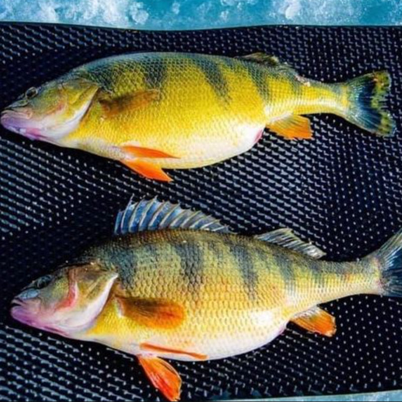 Fish fillet board that's flexible | Fillet Away Fish Mats